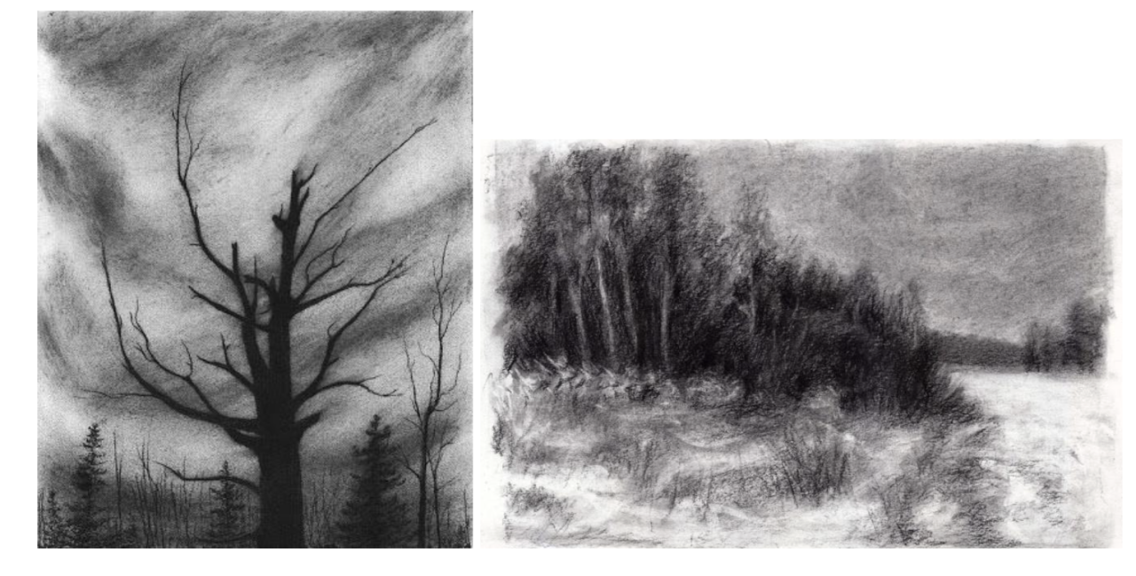 Drawing with Charcoal: A Beginner’s Guide to Getting Started - Happy ...