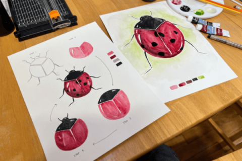 How to Paint a Watercolor Ladybug in 4 Easy Steps - Happy Hands Pottery ...